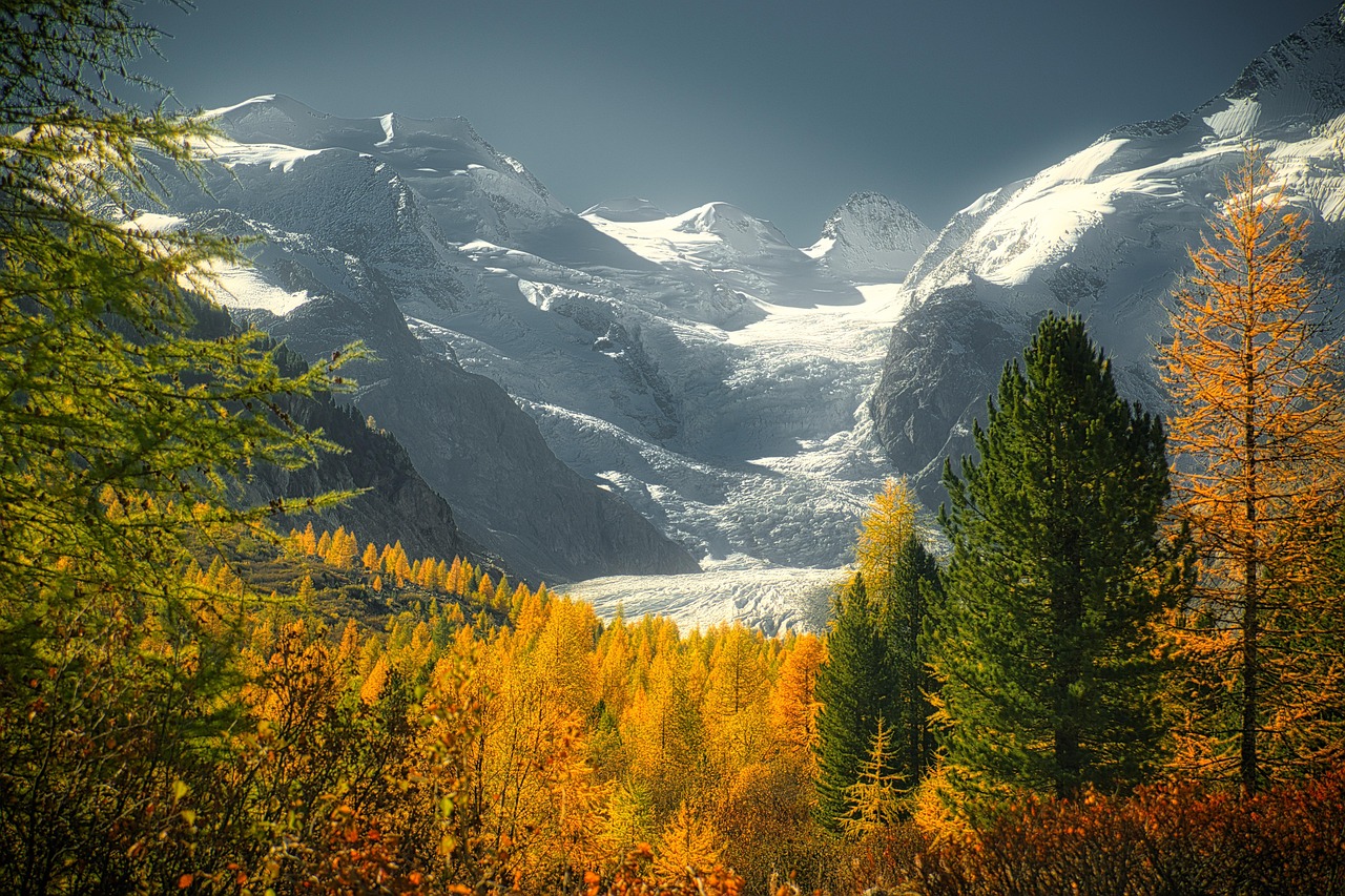 Mountains Trees Leaves - Free photo on Pixabay