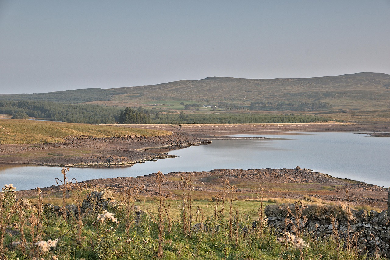 Lake Hill Nature - Free photo on Pixabay - Pixabay