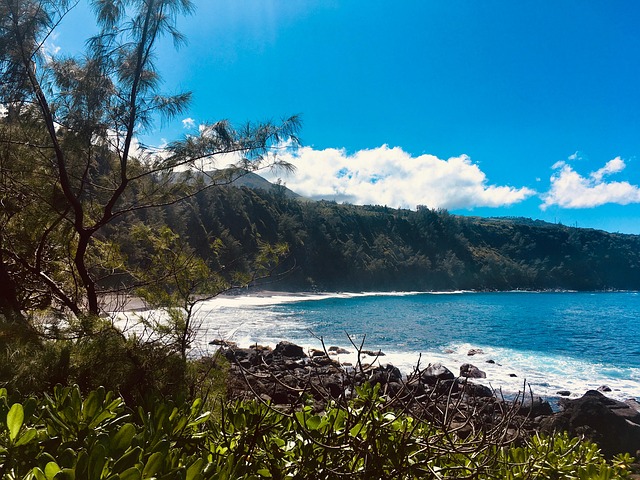 Réunion Plage Tropical - Photo gratuite sur Pixabay - Pixabay