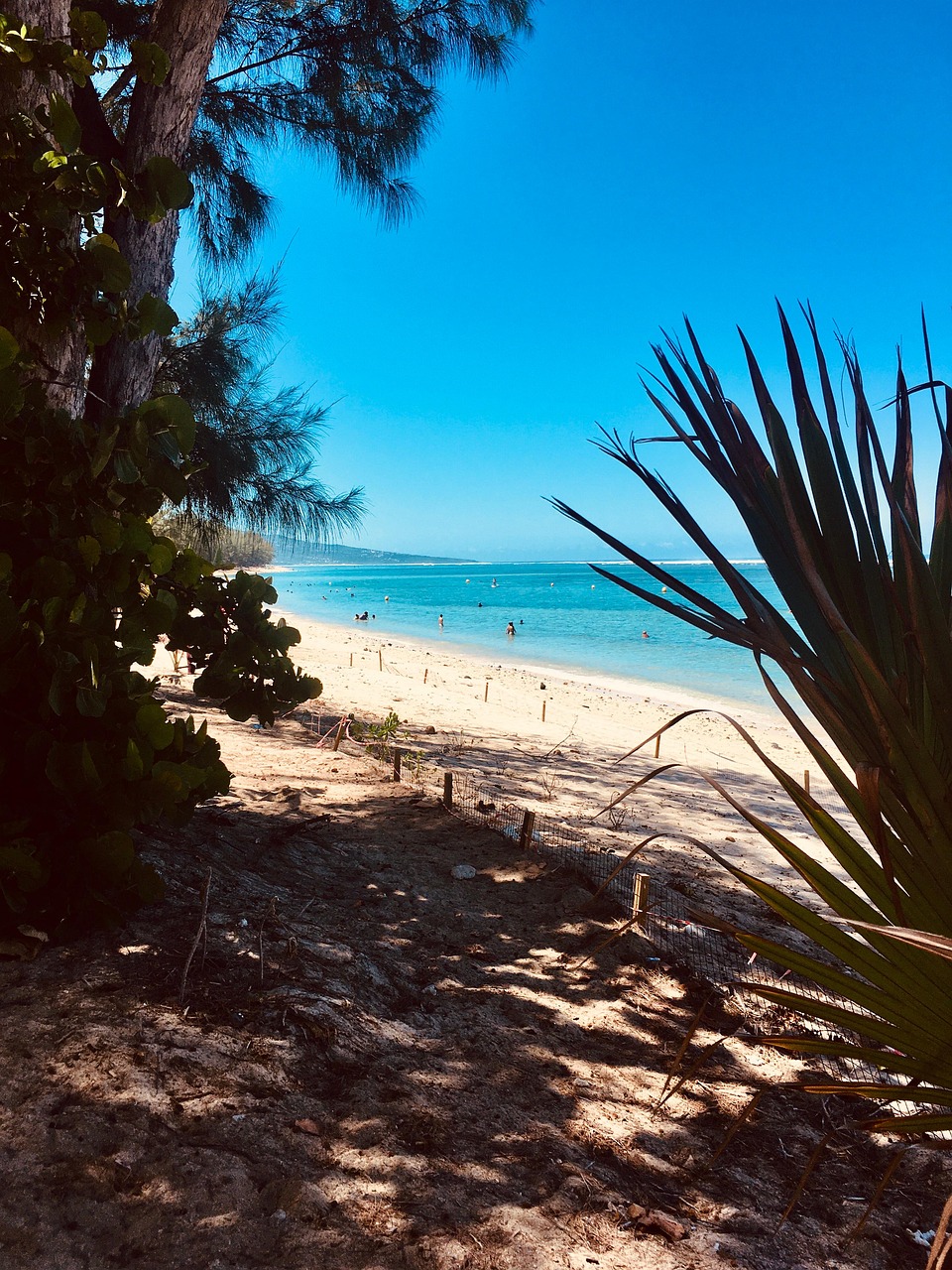 Réunion Plage Tropical - Photo gratuite sur Pixabay - Pixabay