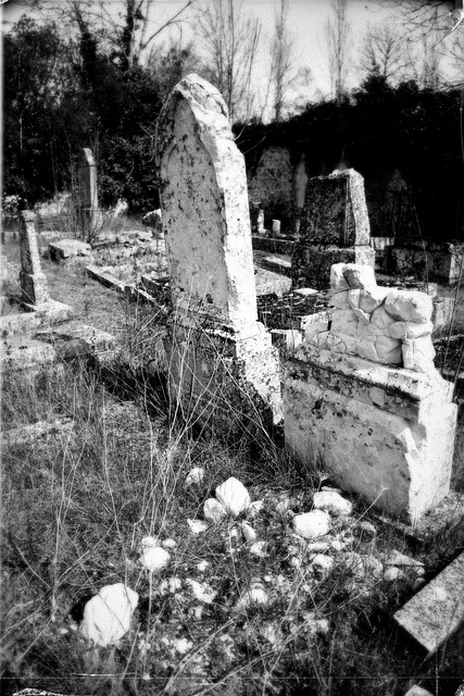 Fallen Down Burials Cemetery - Free photo on Pixabay - Pixabay