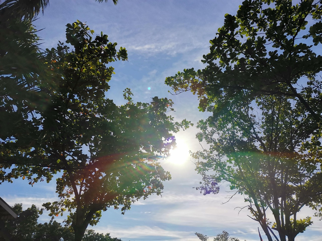 Paysage Du Matin Lever Soleil - Photo gratuite sur Pixabay - Pixabay