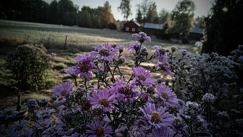 Rk Kuva - Ilmainen valokuva Pixabayssa - Pixabay