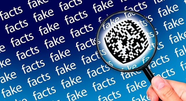 Faktencheck Fakten Überprüfung - Kostenloses Bild auf Pixabay