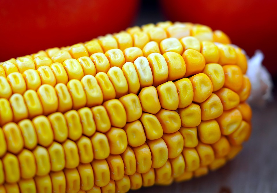 Corn Vegetable Food - Free photo on Pixabay