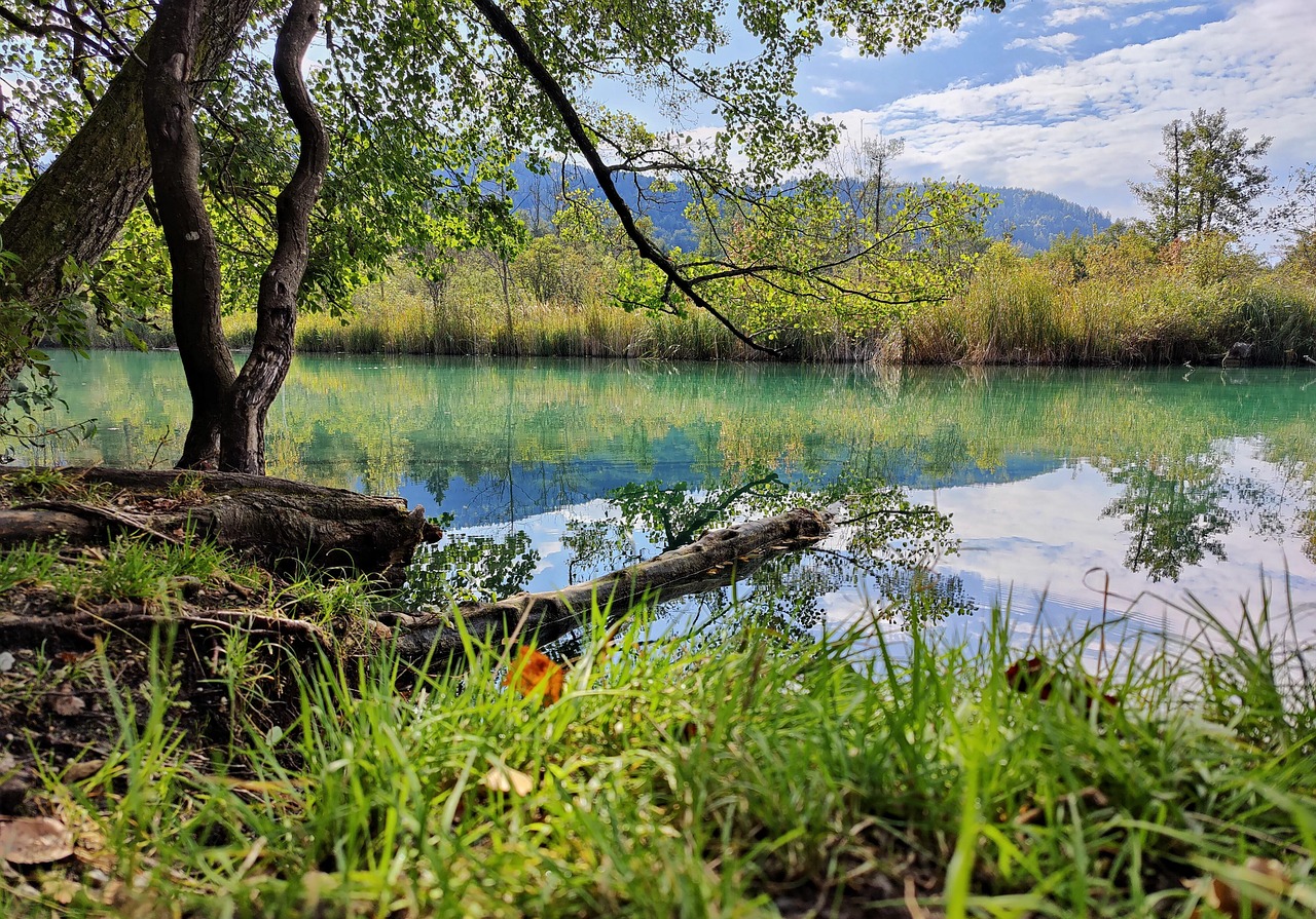 Nature En Plein Air Exploration - Photo gratuite sur Pixabay - Pixabay