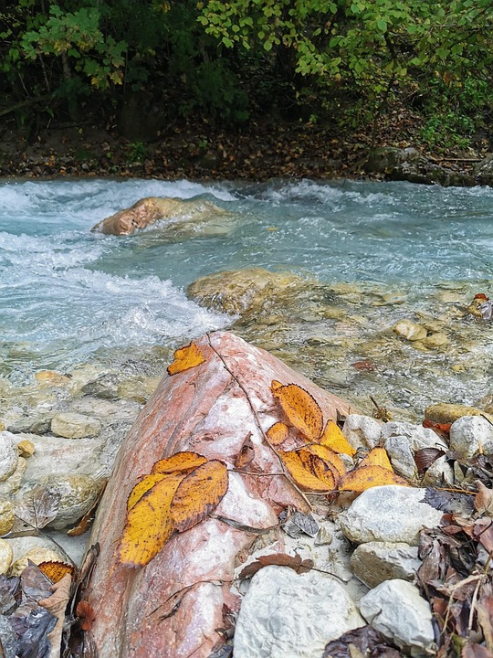 Herbst Wasser Bach - Kostenloses Foto auf Pixabay - Pixabay