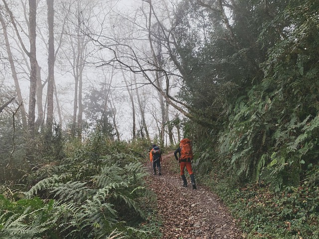Lintas Alam Di Luar Rumah Gunung - Foto gratis di Pixabay - Pixabay