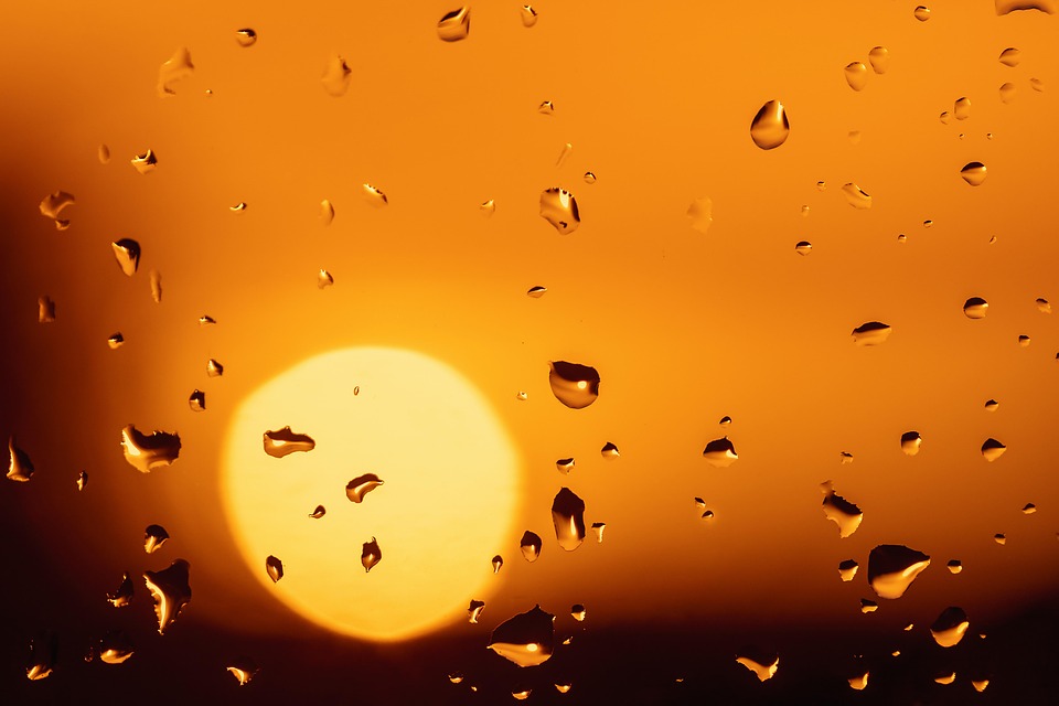 Sunset Tropical Rain Drops - Free photo on Pixabay - Pixabay