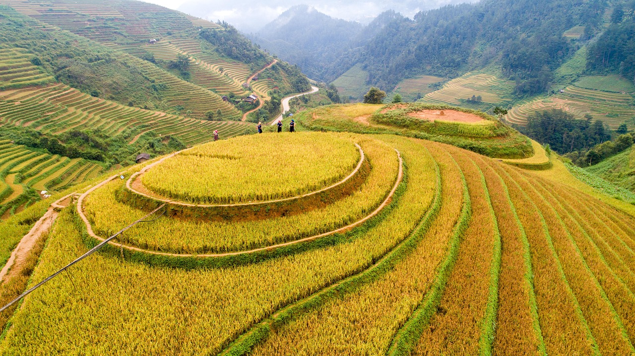 Agriculture Nature Field - Free photo on Pixabay - Pixabay