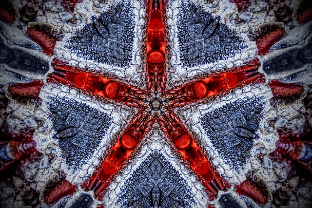 Hiasan Berbentuk Mawar Mandala - Gambar gratis di Pixabay - Pixabay