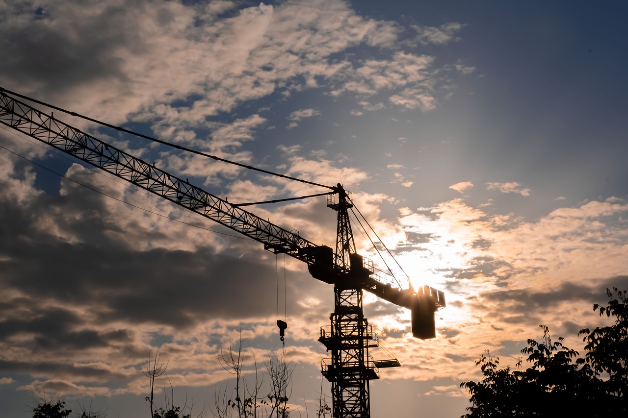 Early Morning Crane Light - Free photo on Pixabay