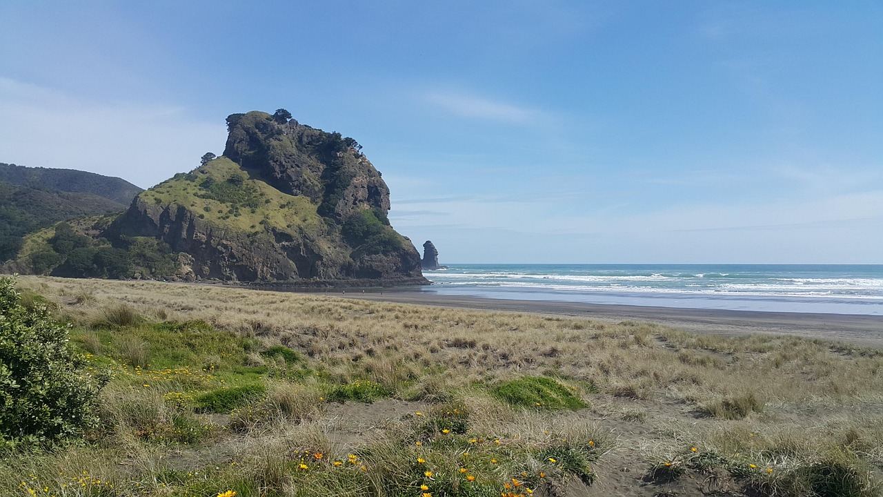 New Zealand Piha Beach Sea - Free photo on Pixabay - Pixabay