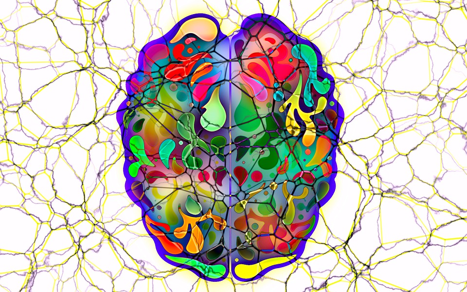 Brain Head Mind - Free image on Pixabay
