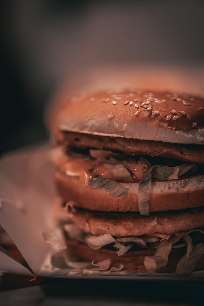 Fast Food Burger Meat - Free photo on Pixabay