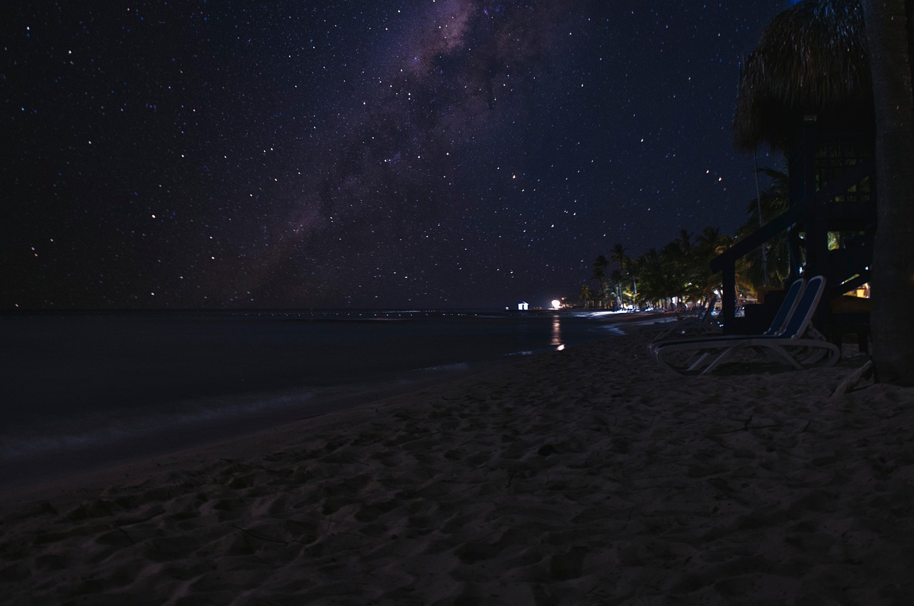 Caribbean Night Palm Trees Beach - Free photo on Pixabay - Pixabay