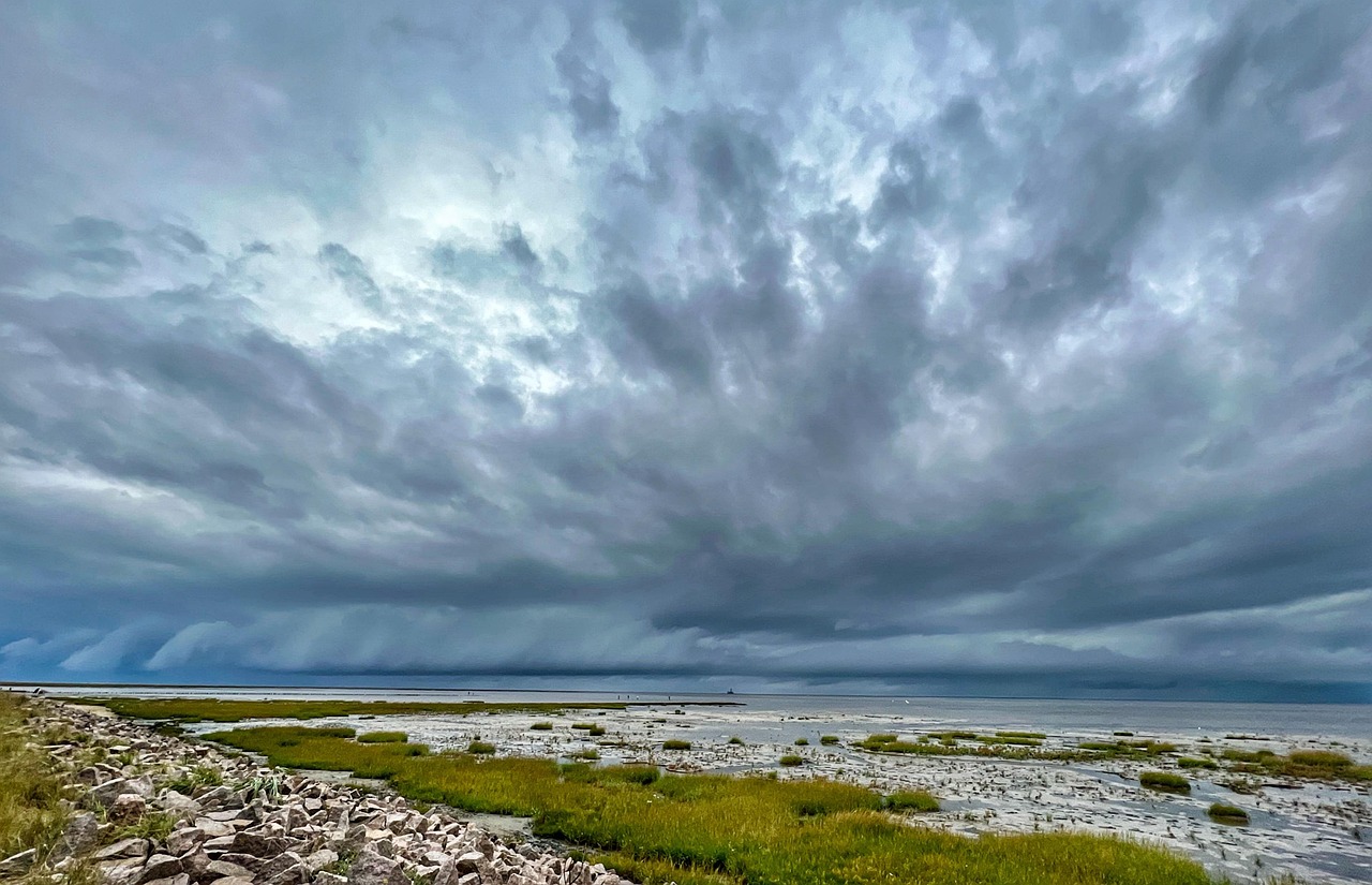 North Sea Watt Wadden - Free photo on Pixabay - Pixabay