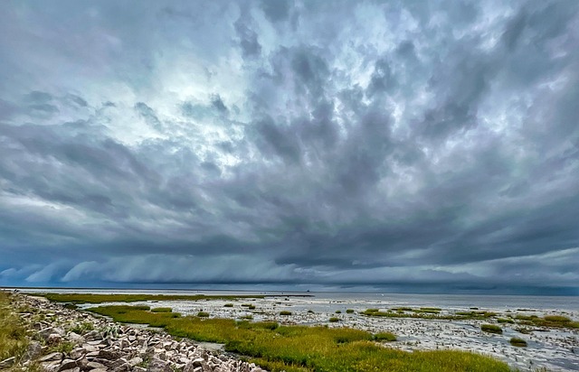 North Sea Watt Wadden - Free photo on Pixabay - Pixabay