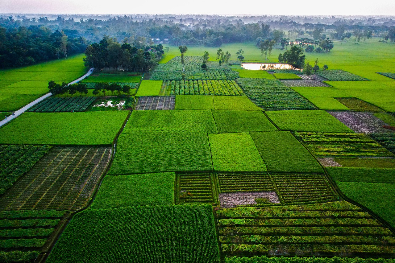 Fields Countryside Landscape - Free photo on Pixabay - Pixabay