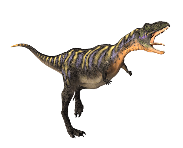1,000+ Dinosaur Pictures & Images for Free [HD]