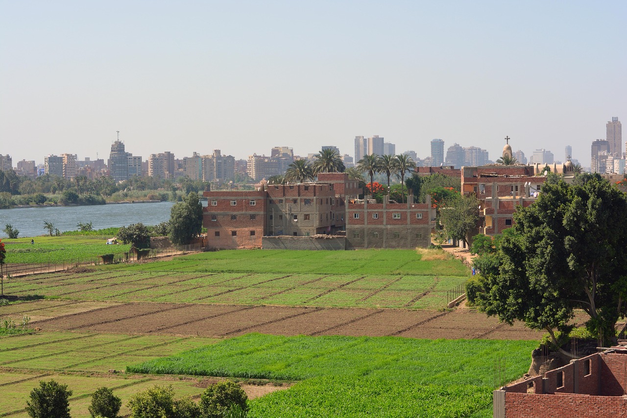 Cairo Fields River Dahab - Free photo on Pixabay - Pixabay