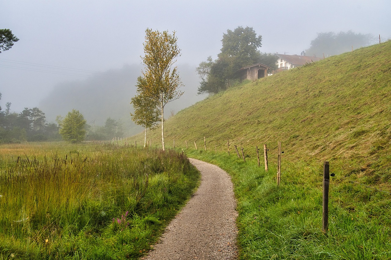 Nature Path Countryside - Free photo on Pixabay
