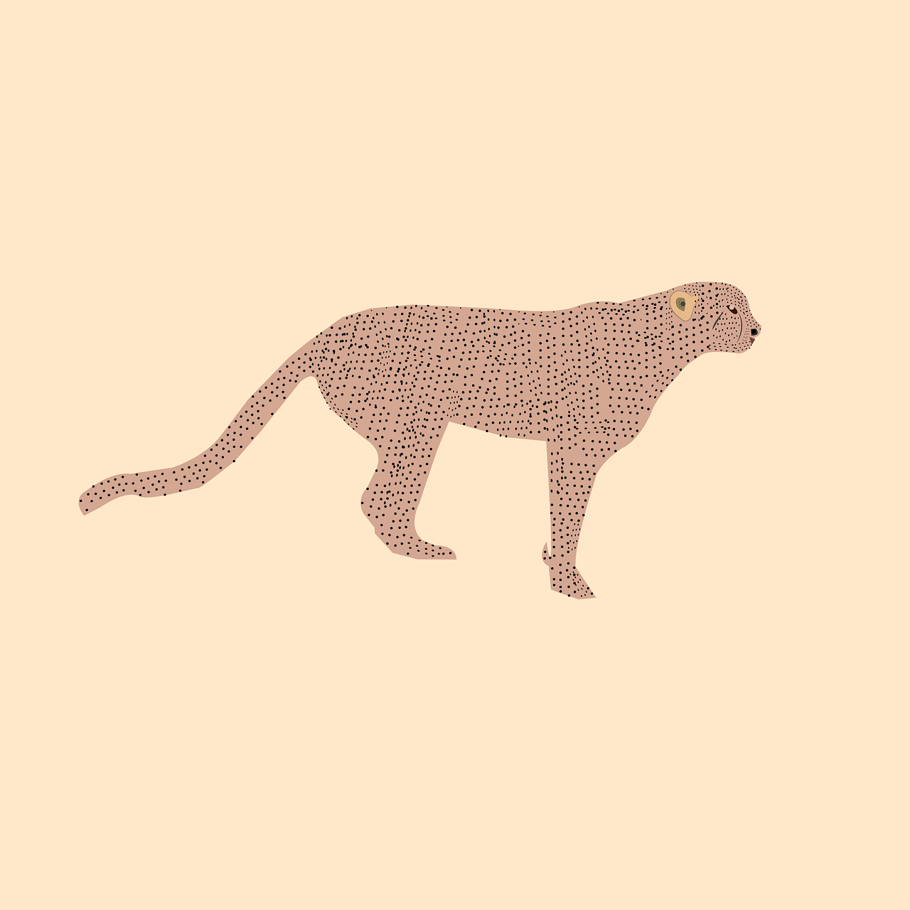 Over 20 Free Cheetah Vectors - Pixabay
