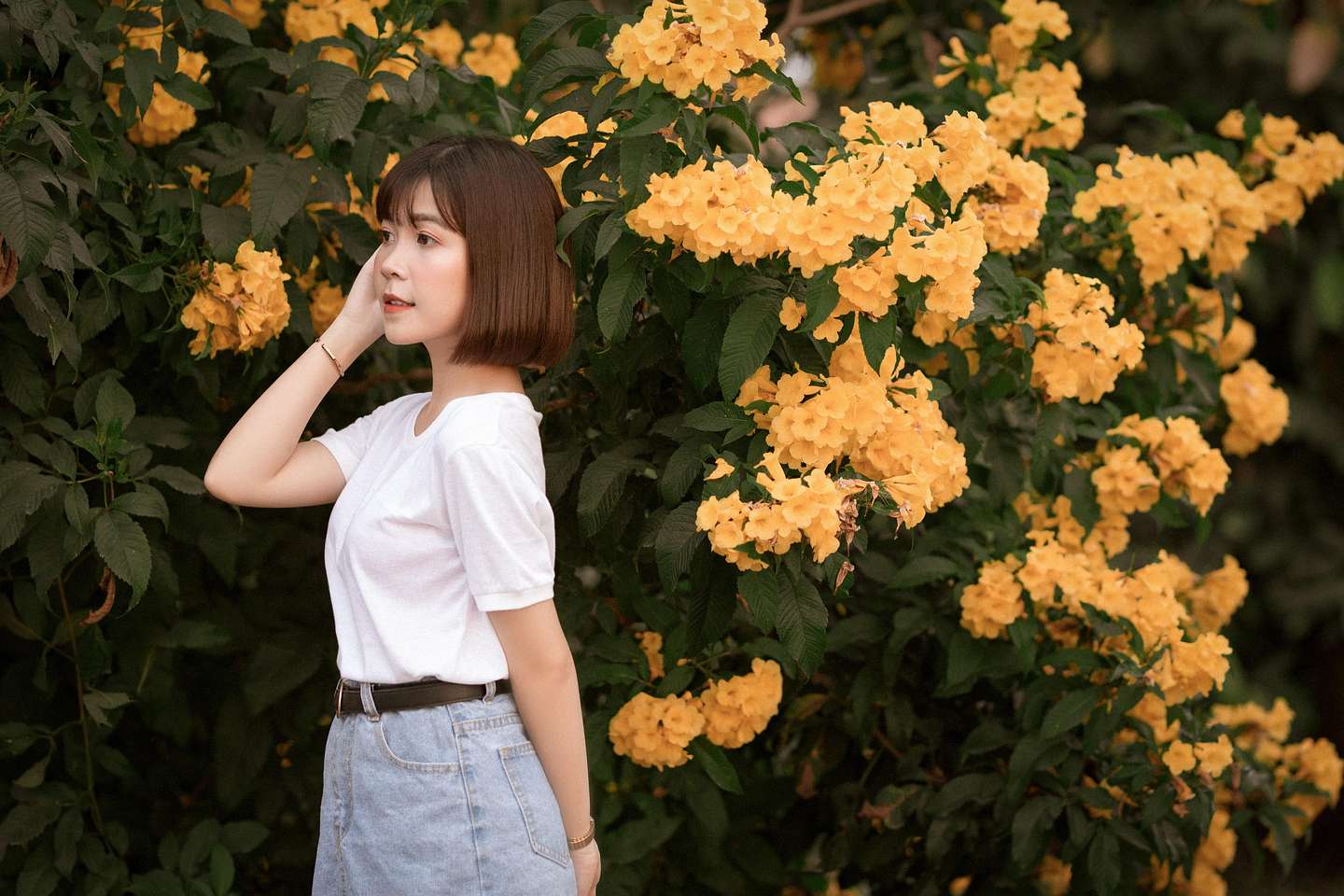 nguyenhonstudio - Pixabay