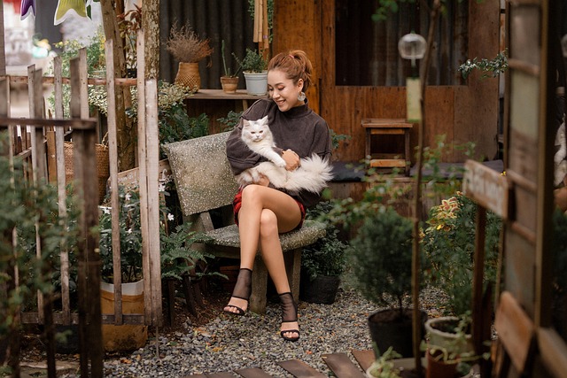 20,000+ Free Smiling Cat & Pet Images - Pixabay