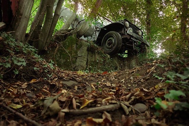 100+ Free Junk Car & Junk Images - Pixabay