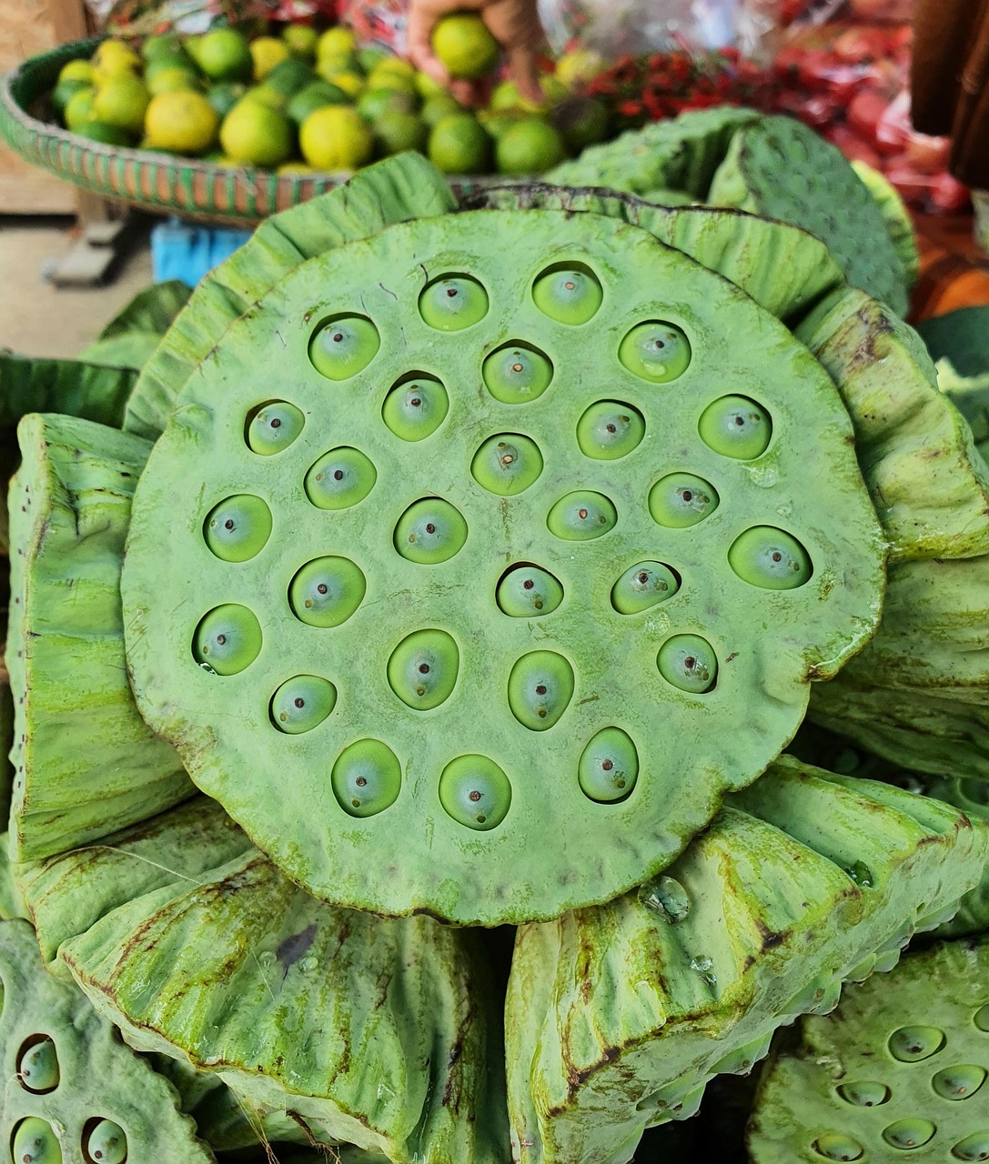 Buah Teratai
