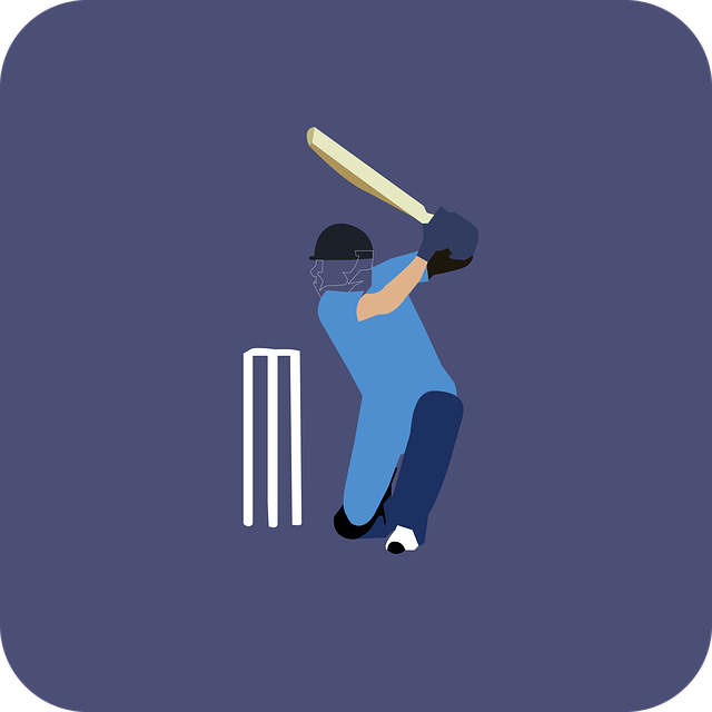 Over 70 Free Cricket Vectors - Pixabay