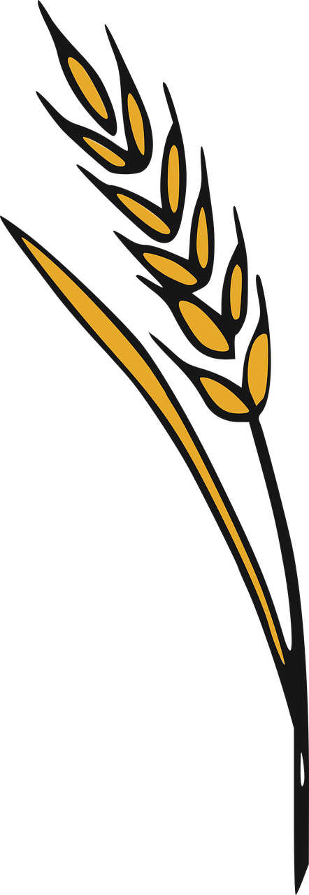 Download High Quality Wheat Clipart Cartoon Transparent Png Images