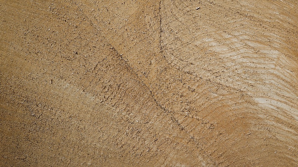 Baum Holz Textur - Kostenloses Foto auf Pixabay - Pixabay