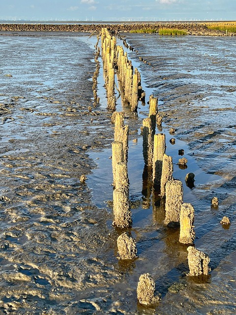 Mud Flat Coast Beach - Free photo on Pixabay - Pixabay
