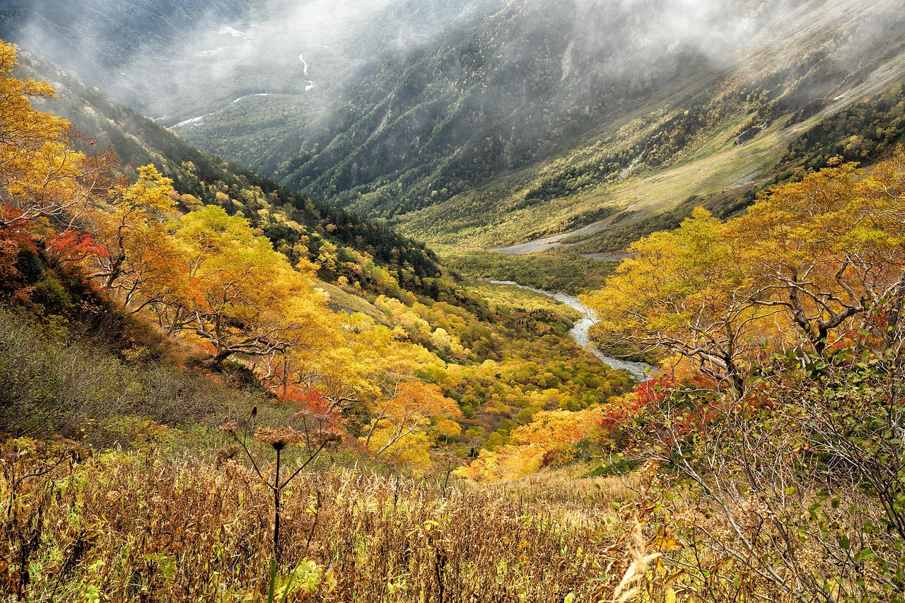 10,000+ Free Valley & Nature Images - Pixabay