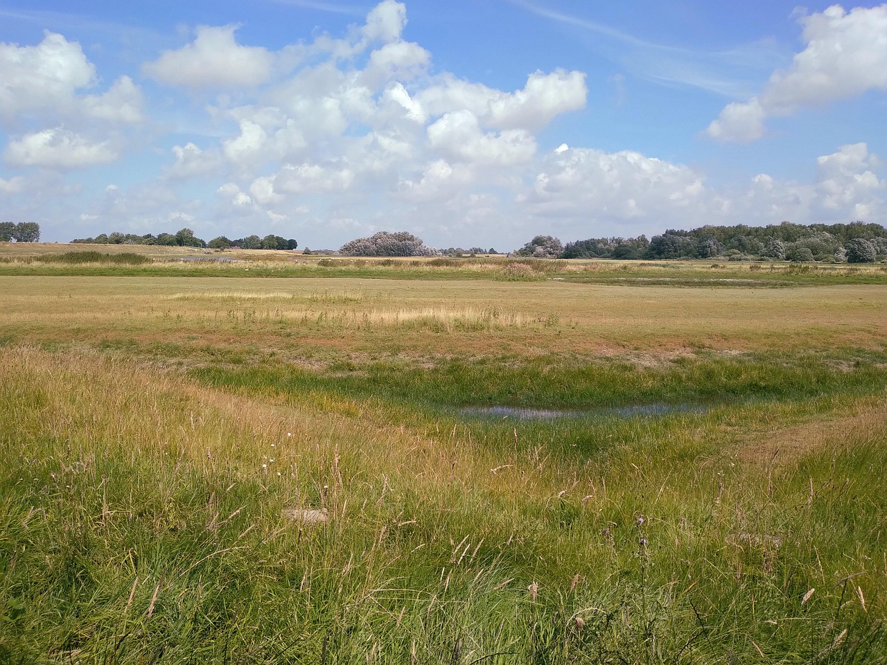 Paisaje Naturaleza Prado El - Foto gratis en Pixabay