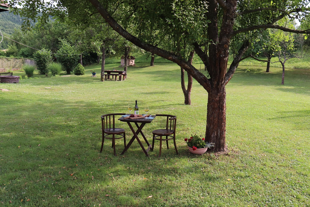 Outdoor Dining Restaurant Garden - Free photo on Pixabay - Pixabay
