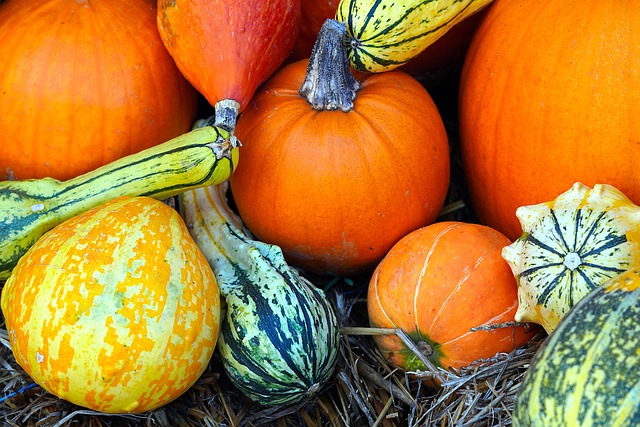 Pumpkin Vegetables Food - Free photo on Pixabay - Pixabay