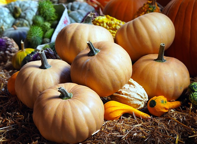 Automne Citrouille Saisonnier - Photo gratuite sur Pixabay - Pixabay