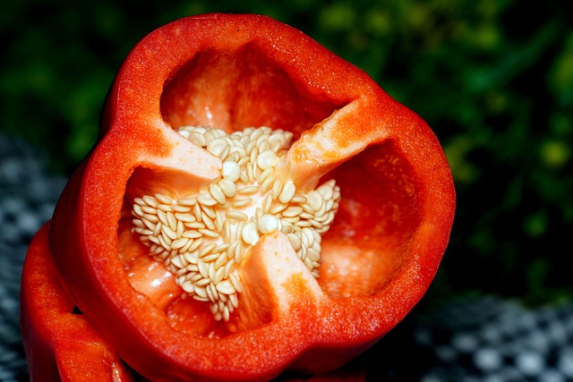 Bell Pepper Seeds Slices - Free photo on Pixabay