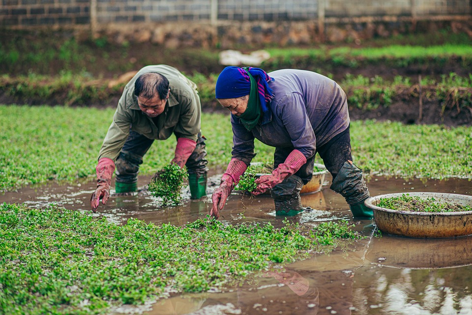 Countryside Harvest Farmers - Free photo on Pixabay
