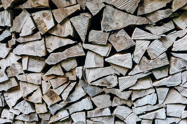 Bois Des Troncs D'Arbres Fût - Photo gratuite sur Pixabay - Pixabay