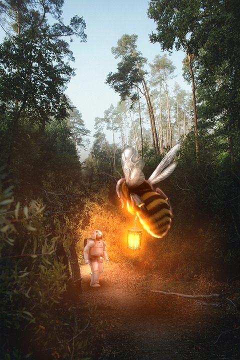 Download Bee Fantasy Digital Art Royalty-Free Stock Illustration Image ...
