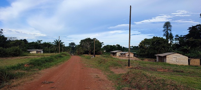 Town Forest Cameroon Free Photo On Pixabay Pixabay