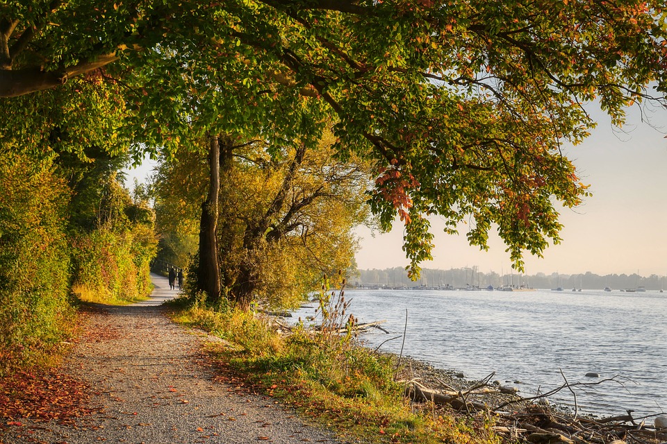 Path Riverbank Lake - Free photo on Pixabay - Pixabay