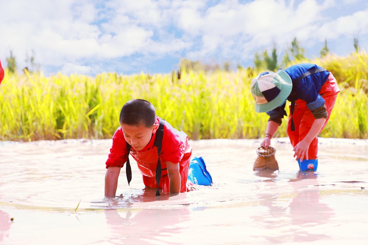 Children Catching Loach River - Free photo on Pixabay - Pixabay