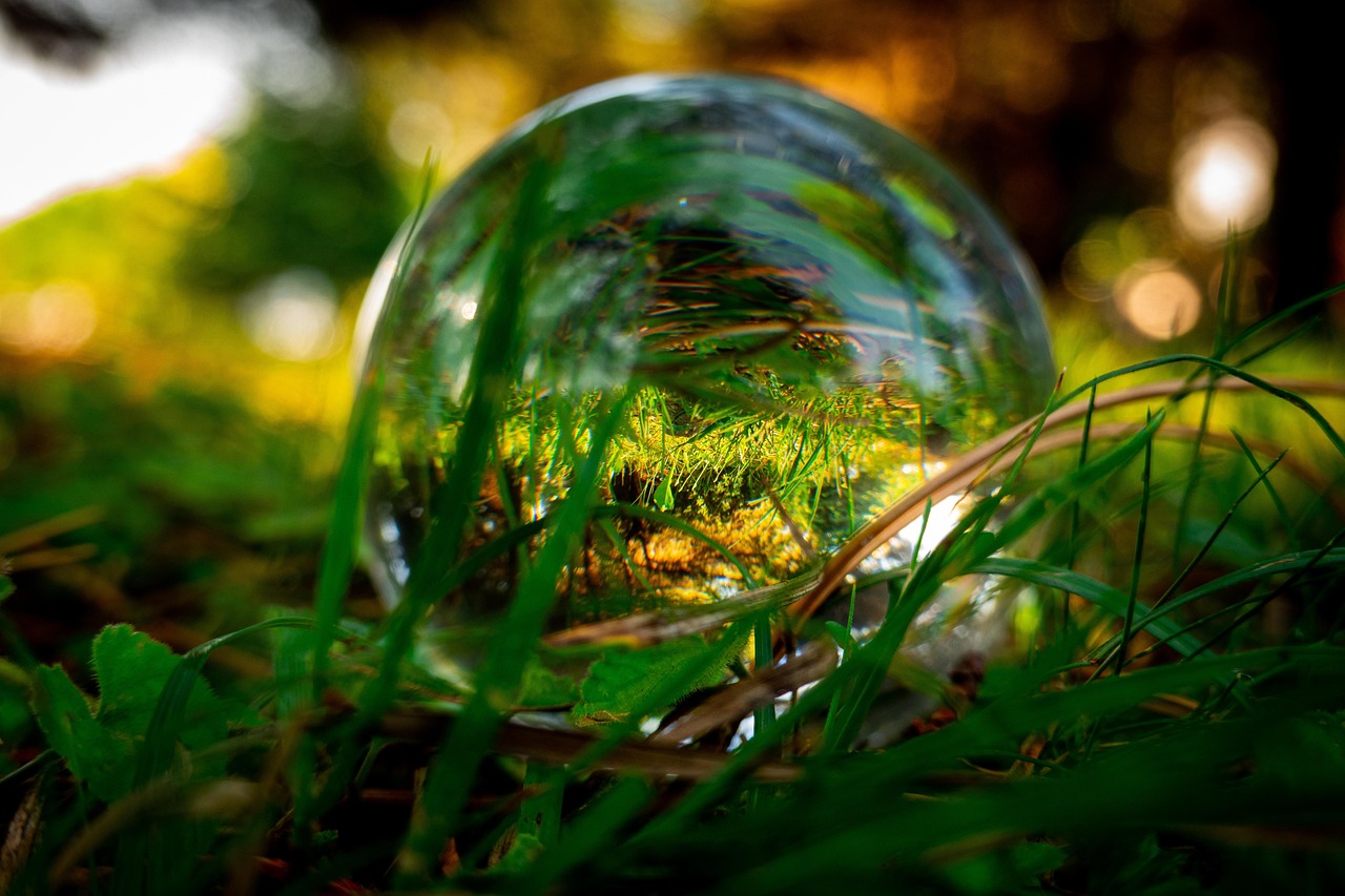 Lens Ball Reflection Tree - Free photo on Pixabay - Pixabay
