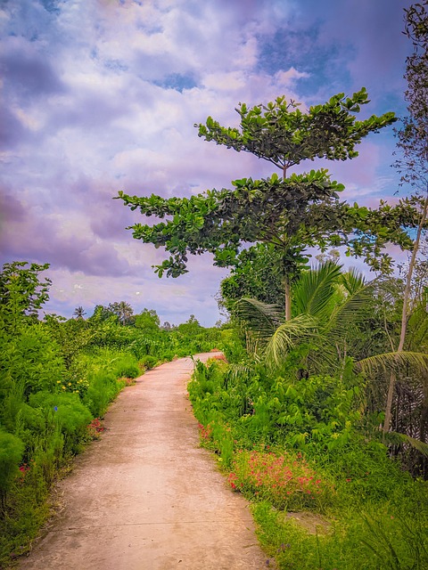 Vedere Fotografie De Peisaj Rural Fotografie Gratuită Pe Pixabay Pixabay
