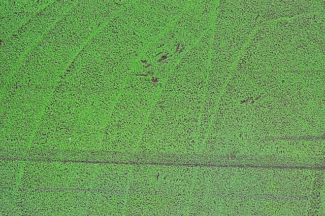 Texture Surface Goudron - Photo gratuite sur Pixabay - Pixabay